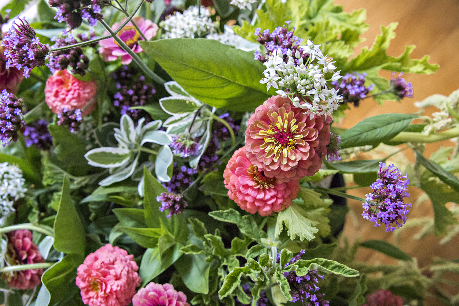 Top 10 Annual Flowers to grow from seed for the garden