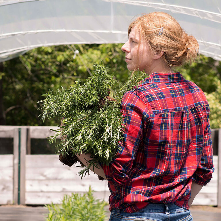 Pinching Plants, A Beginner's Guide to more stems and flowers