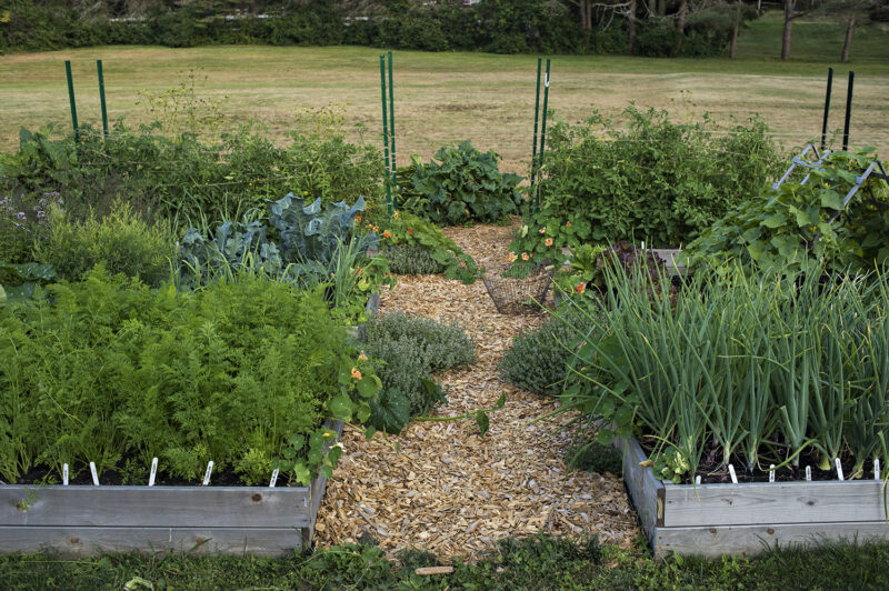 No-Dig Gardening and Compost for a Healthy Veggies, Herbs and Flowers
