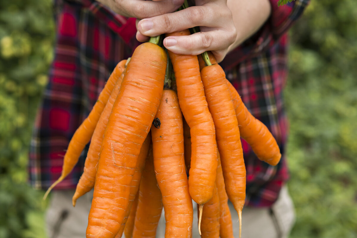 Vegetable Garden Top 10 Must Haves for the kitchen