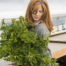 Pinching Plants, A Beginner's Guide to more stems and flowers