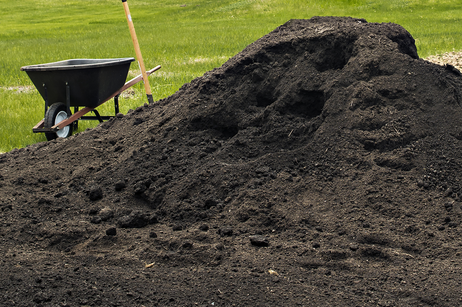 No-Dig Gardening and Compost for a Healthy Veggies, Herbs and Flowers