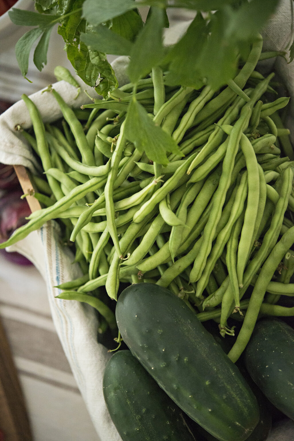 Vegetable Garden Top 10 Must Haves for the kitchen