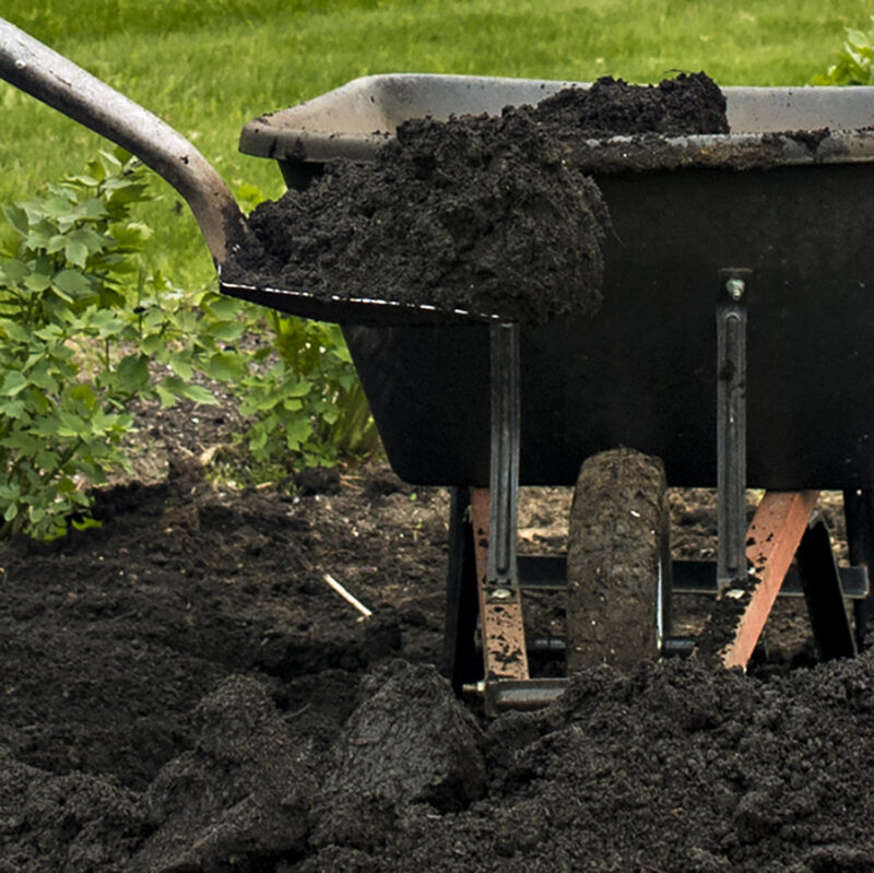 No-Dig Gardening and Compost for a Healthy Veggies, Herbs and Flowers